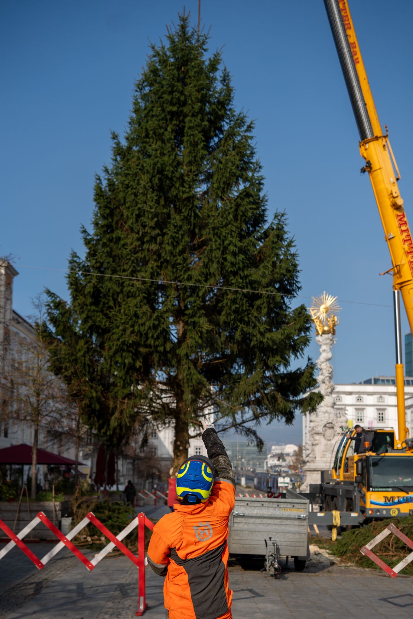 Der Christbaum ist da - Linzer Christkindlmarkt und Linzer Weihnachtsmarkt